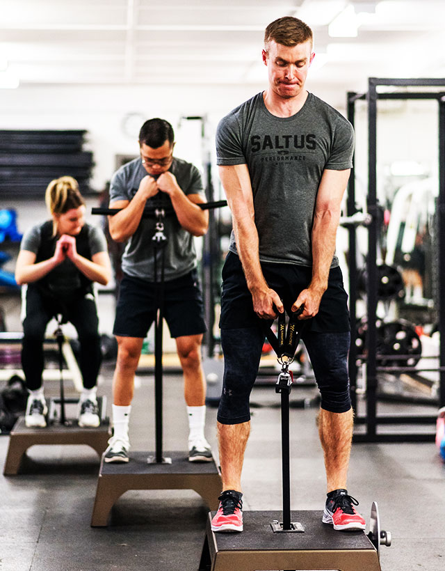 Online Training - new - Saltus Performance